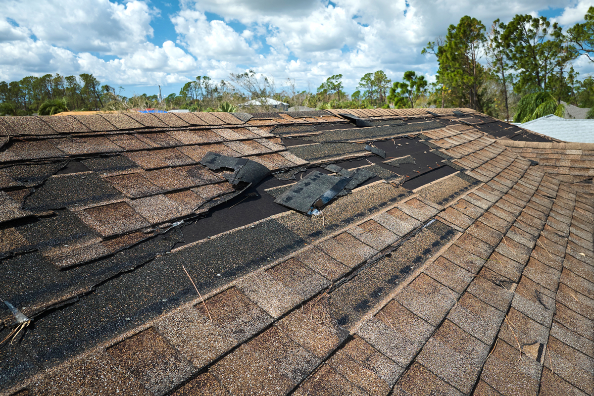 Common Signs of a Damaged Roof | Excel Construction Group